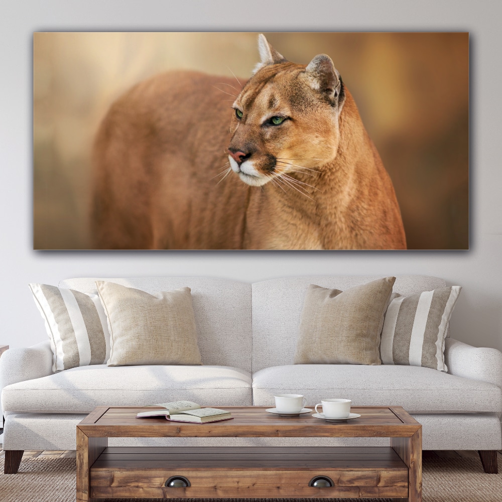 Cuadro Puma con ojos verdes • Cuadros Tabloide